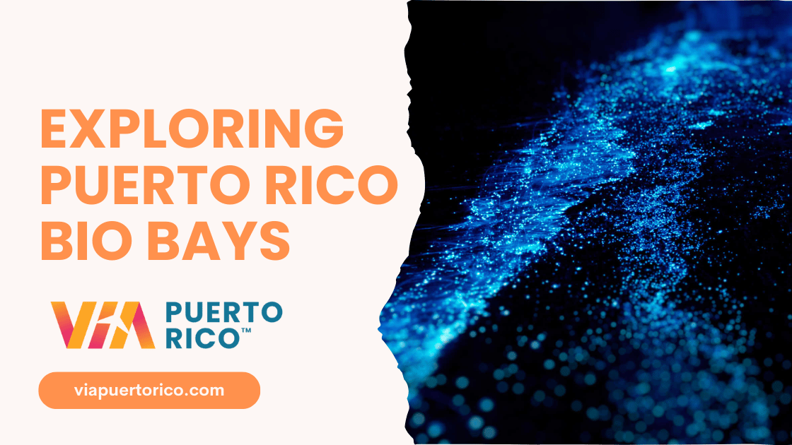 Exploring Puerto Rico Bioluminescent Bays Like a Local