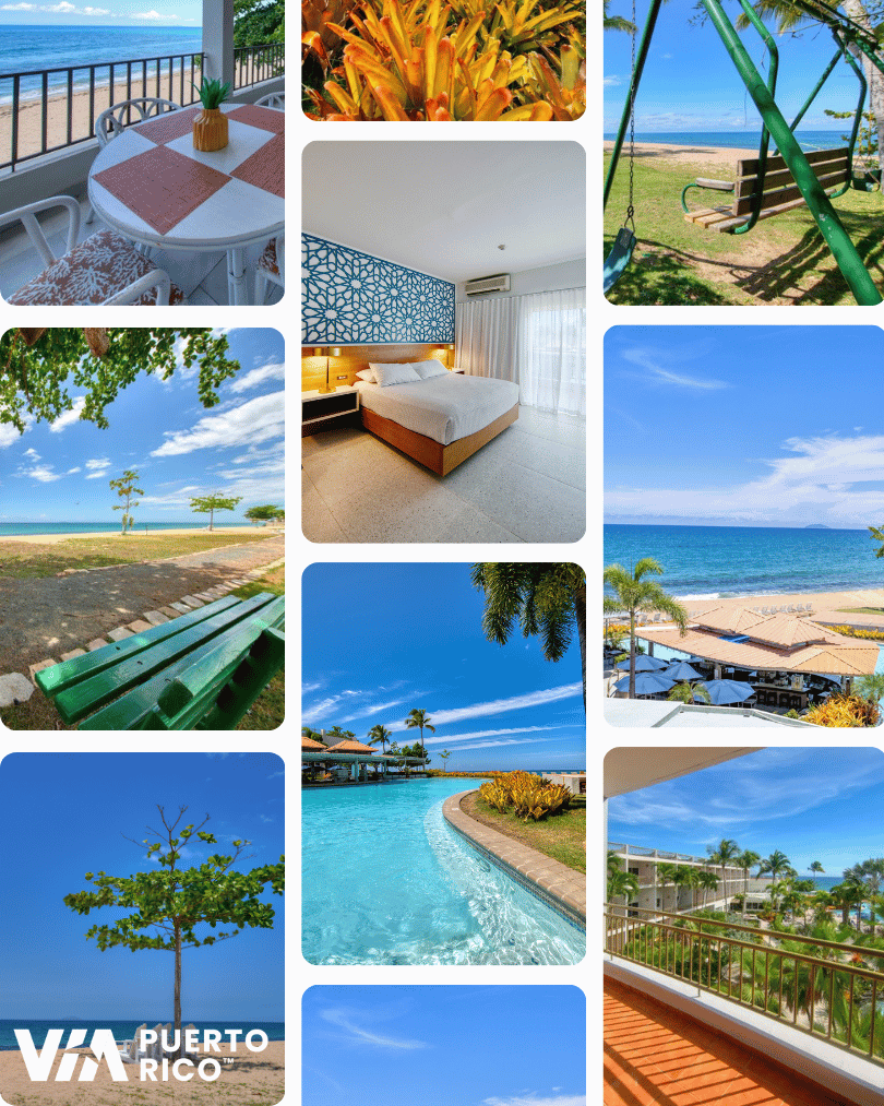 Top Things to do in Rincon, Puerto Rico - Via Puerto Rico