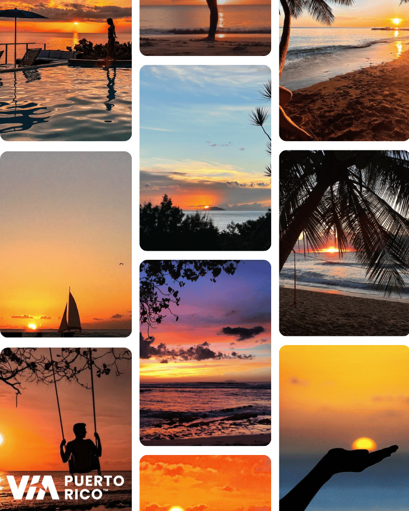 Top Things to do in Rincon, Puerto Rico - Via Puerto Rico